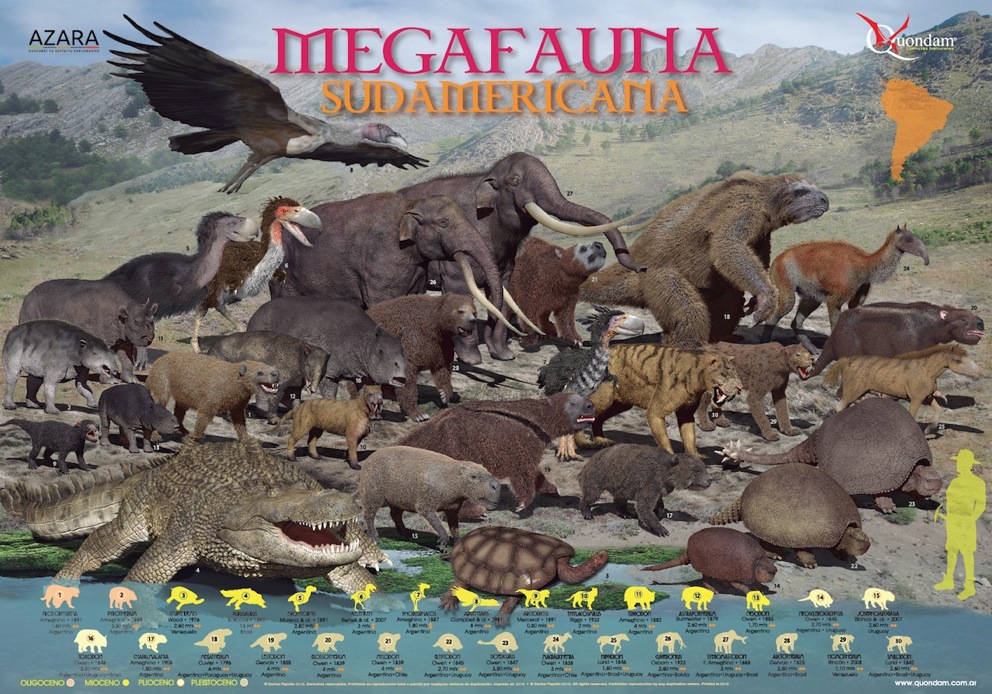 What if a new Pokémon region was based on Argentina? : r/argentina