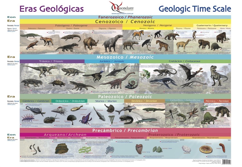 Lámina educativa: Eras Geológicas | Aves Argentinas