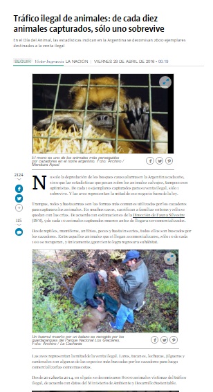 Tráfico ilegal de animales: de cada diez animales capturados, sólo uno ...